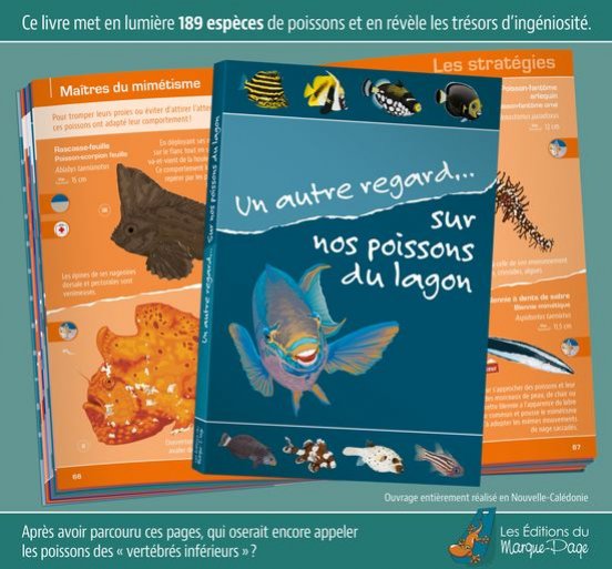 « Un autre regard… sur nos poissons du lagon » de Florence Ramel ...